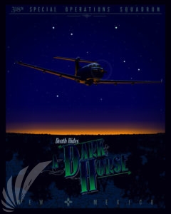 A Dark Horse 318th SOS - Squadron Posters