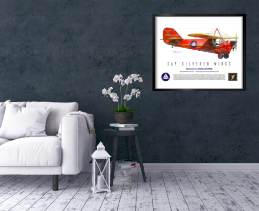 Aeronca C-3 NC12496 - Squadron Posters