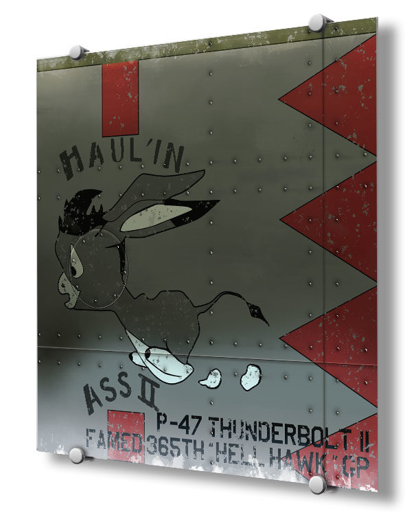 365th Fighter Group "Hell Hawk" Nose Art - Squadron Posters