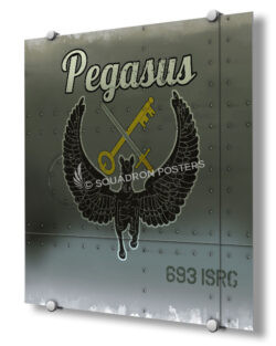693d ISR Group Nose Art - Squadron Posters