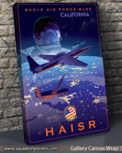 Beale AFB 410th TES - Squadron Posters