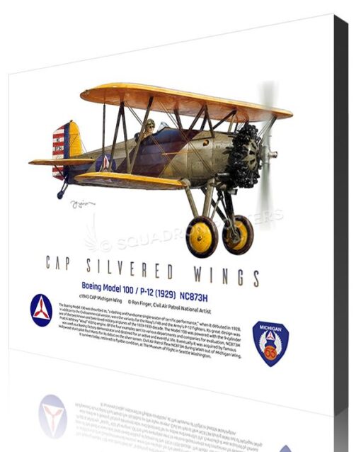 Model 100 P12 NC873H Art - Squadron Posters