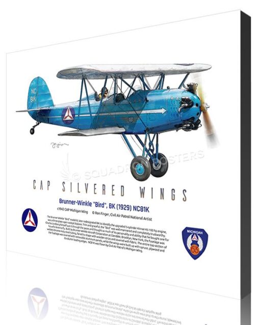 Brunner-Winkle Bird BK NC81K - Squadron Posters