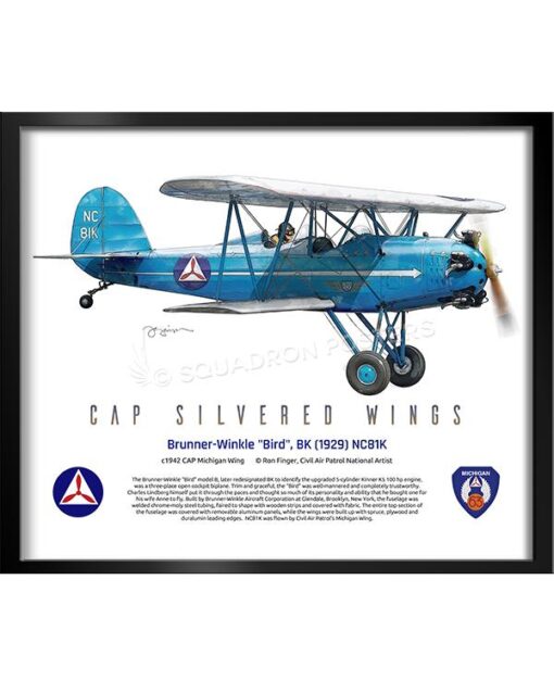 Brunner-Winkle Bird BK NC81K - Squadron Posters