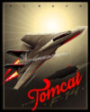 F-14 Tomcat - Squadron Posters