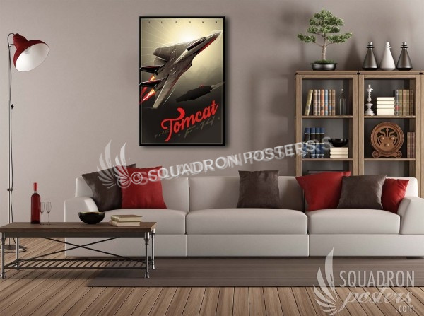 F-14 Tomcat - Squadron Posters