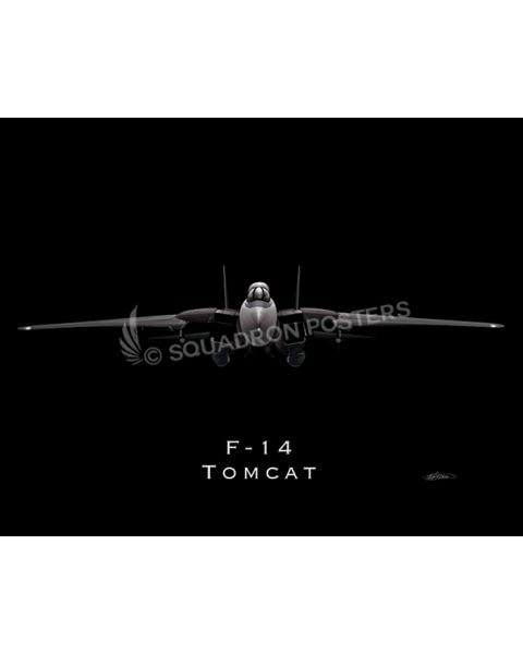 F-14 Jet Black Lithograph - Squadron Posters