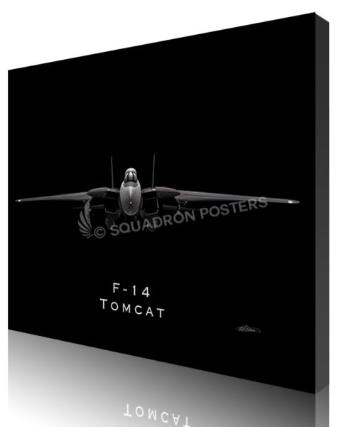 F-14 Jet Black Lithograph - Squadron Posters