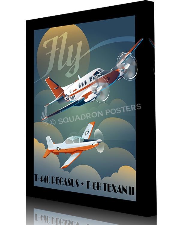 Fly T-44C and T-6B poster art - Squadron Posters