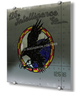 178th Wing Archives - Squadron Posters