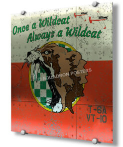 VT-10 “Wildcats” Nose Art - Squadron Posters