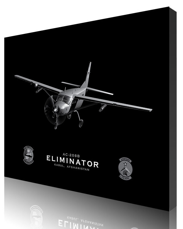 Jet Black AC-208B 538th AEAS Lithograph - Squadron Posters
