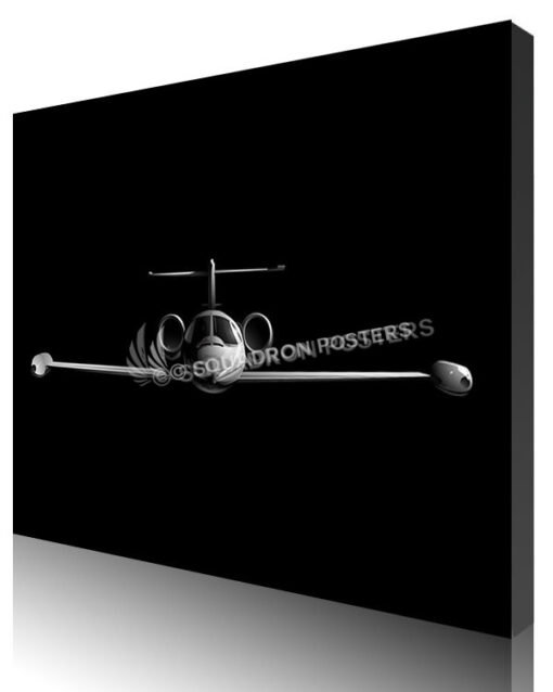 C-21 (full view) Jet Black Lithograph - Squadron Posters