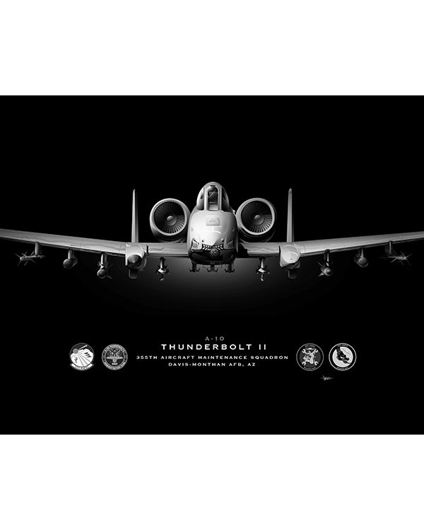 355th AMXS A-10 Warthog Jet Black Lithograph - Squadron Posters