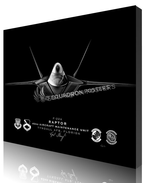 F-22 43d AMU Jet Black Lithograph - Squadron Posters