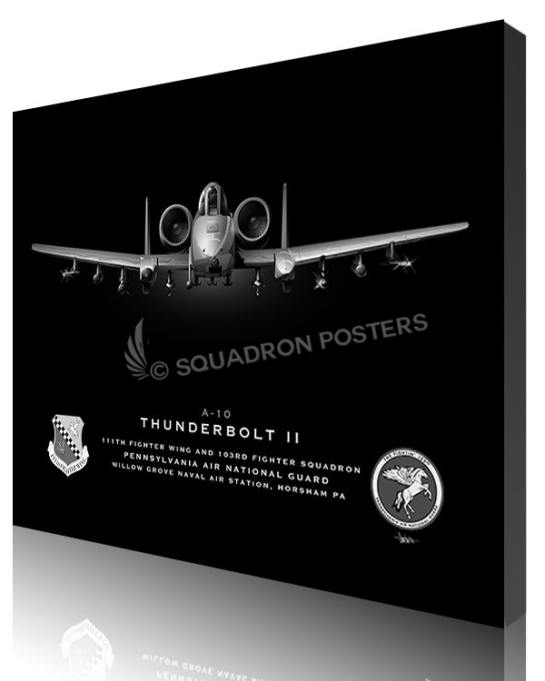 PA ANG Fighters A-10 Jet Black Lithograph - Squadron Posters