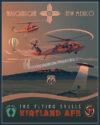 Kirtland AFB HH-60 512th RQS - Squadron Posters