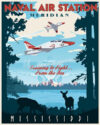 NAS Meridian T-45 Goshawk - Squadron Posters