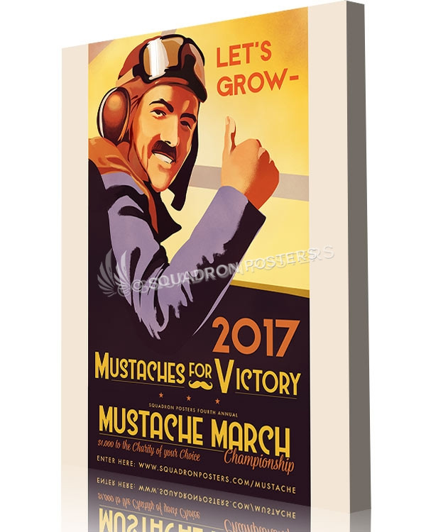 2017 Squadron Posters – Armed Forces Mustache March Championship ...