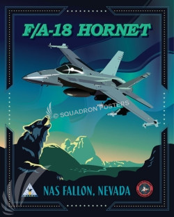 NAS Fallon - Naval Strike and Air Warfare Center - Squadron Posters