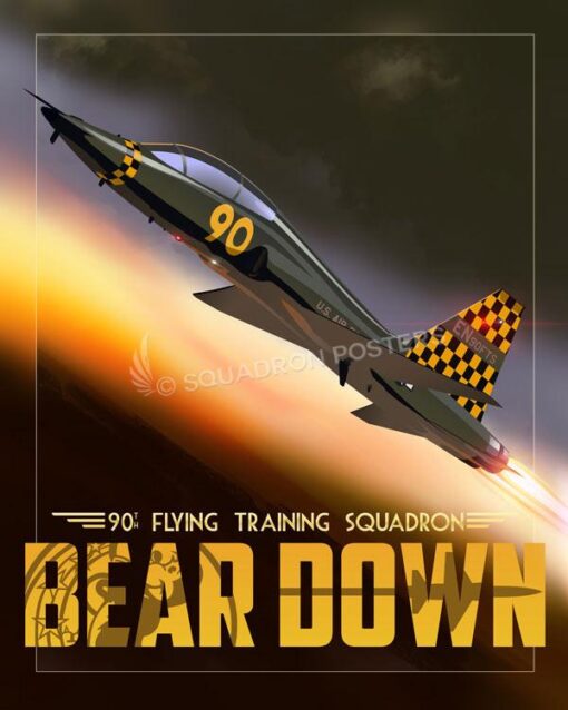Sheppard AFB 90th FTS Heritage - Squadron Posters