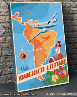 South American King 571st MSAS - Squadron Posters