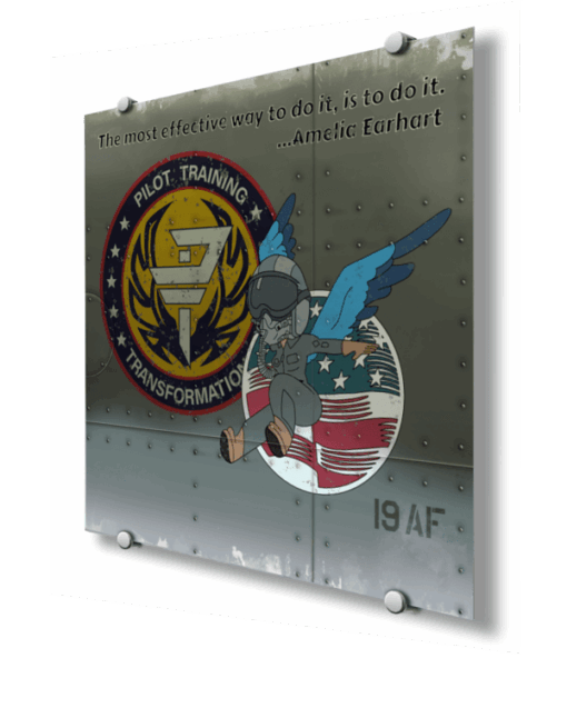19 AF Pilot Training Transformation - Squadron Posters
